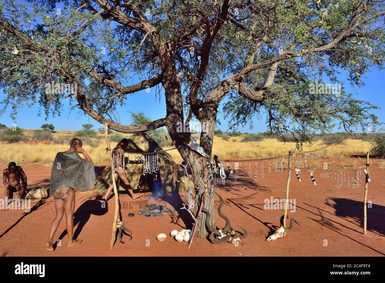 San people saan known bushmen hi-res stock photography and images - Alamy