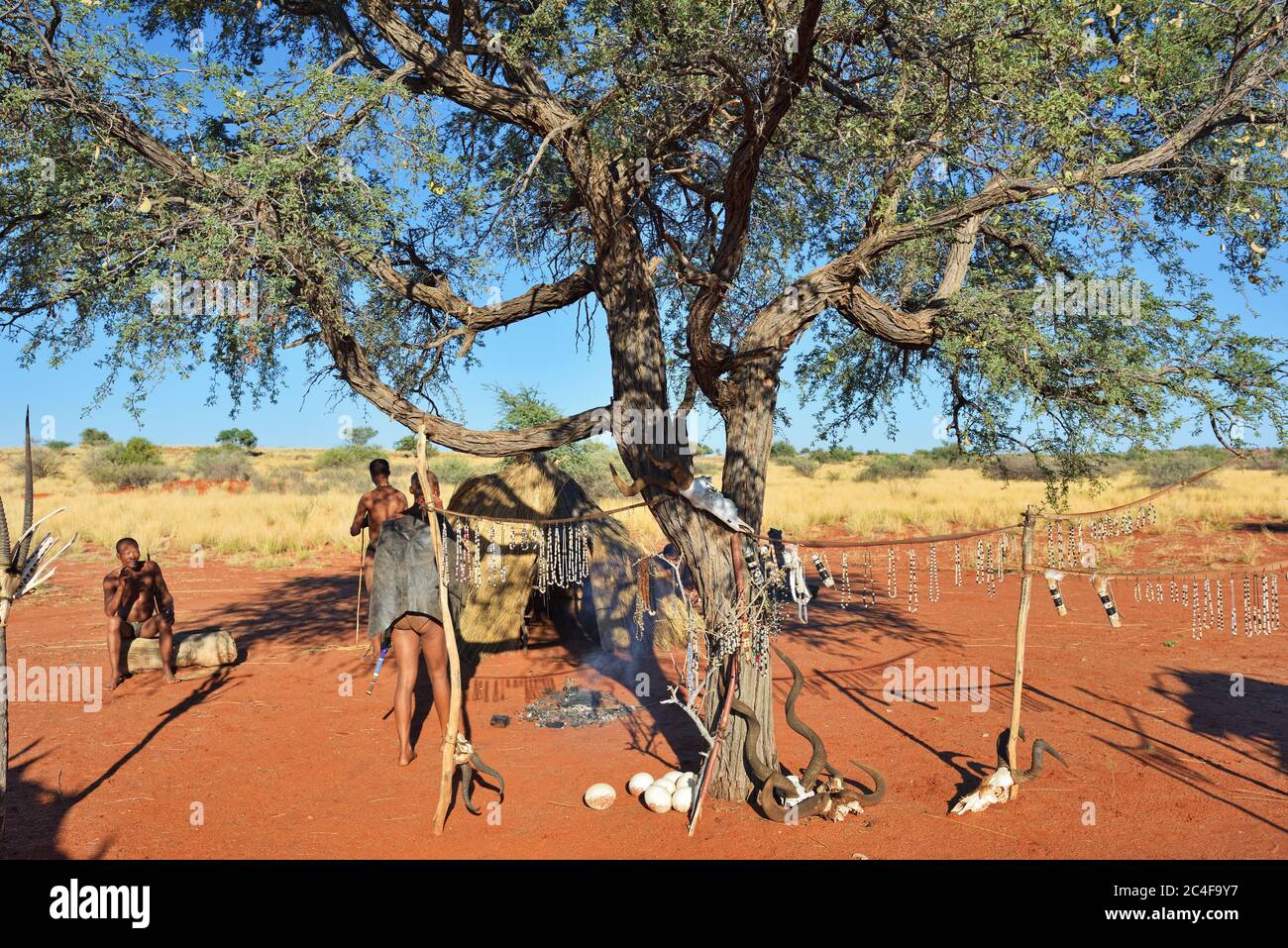 San people saan known bushmen hi-res stock photography and images - Alamy