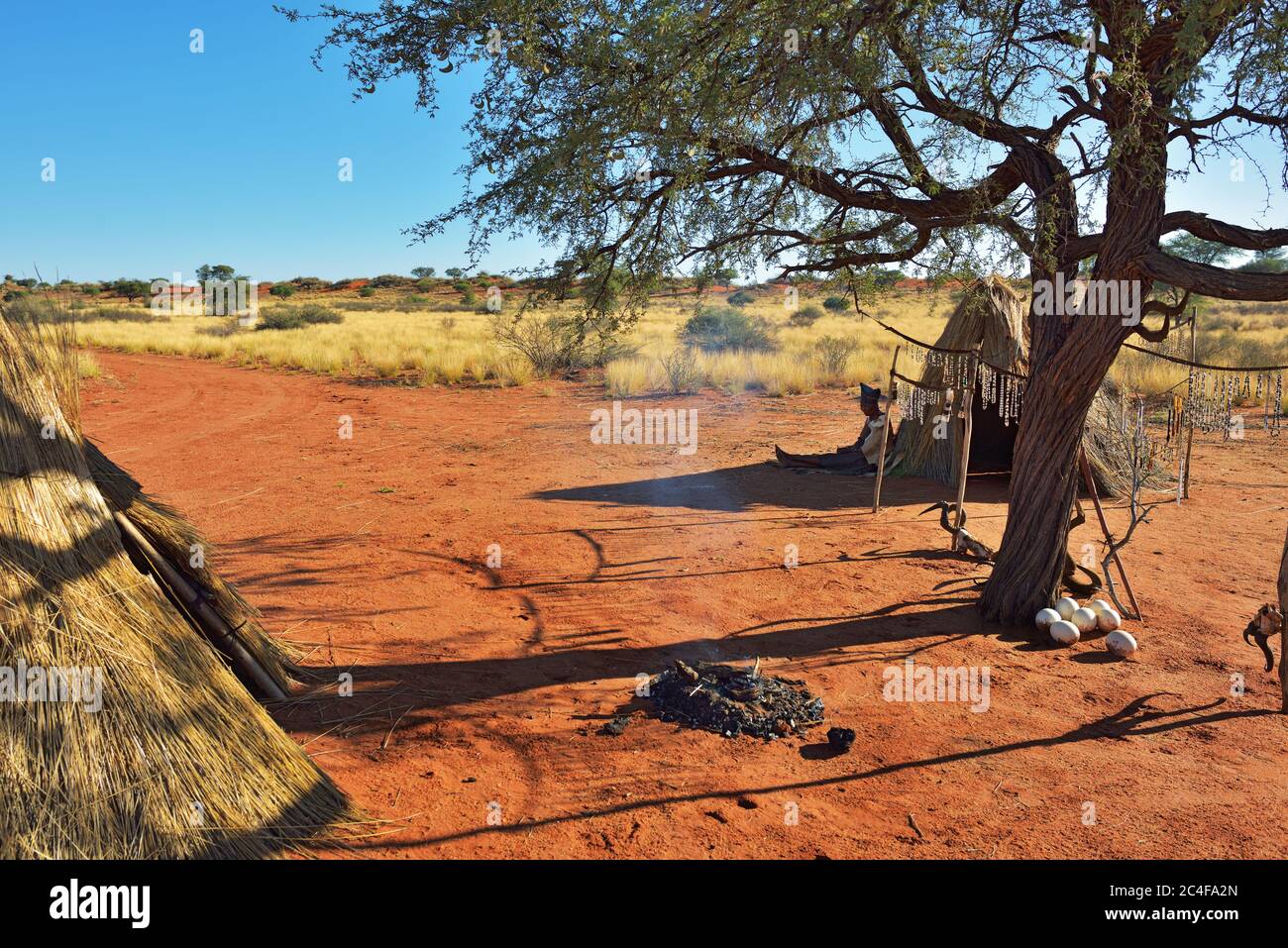 KALAHARI, NAMIBIA - JAN 24, 2016: Bushmen tribe village. The San people ...