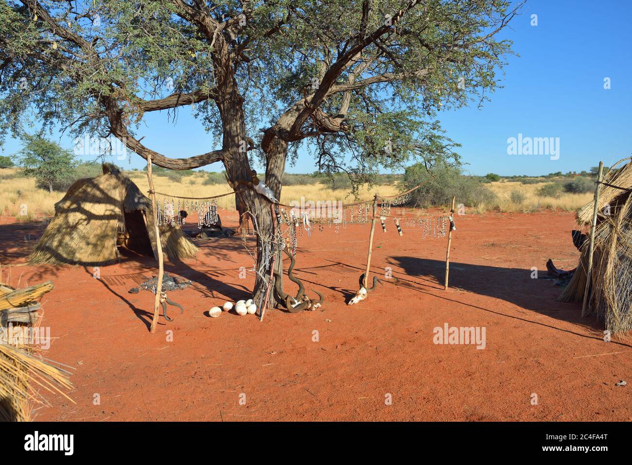 KALAHARI, NAMIBIA - JAN 24, 2016: Bushmen tribe village. The San people ...