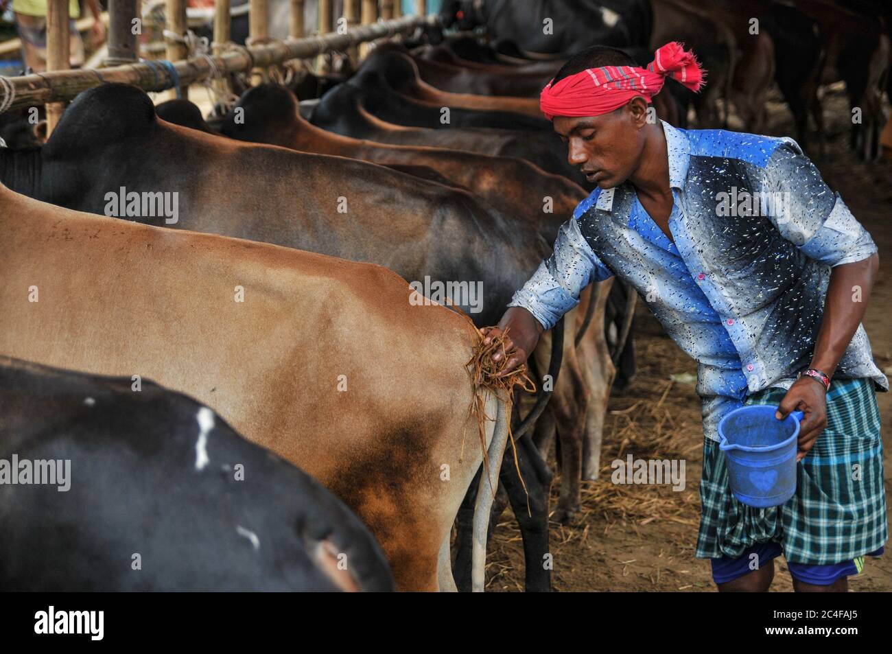 Kazir bazar hi-res stock photography and images - Alamy