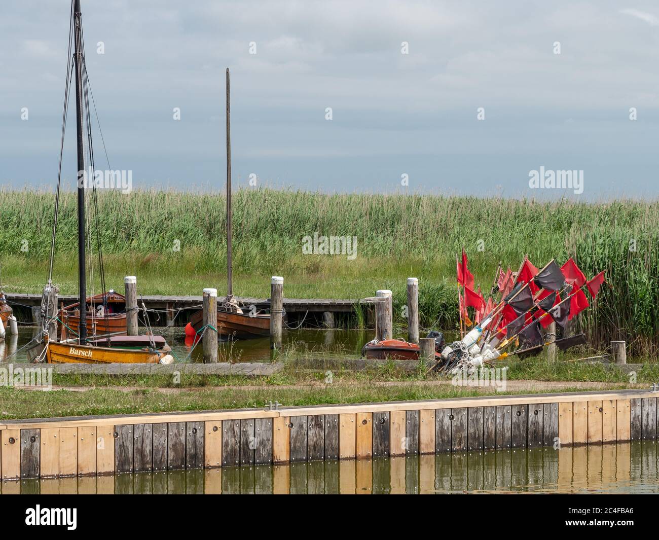 darss Island in germany Stock Photo - Alamy