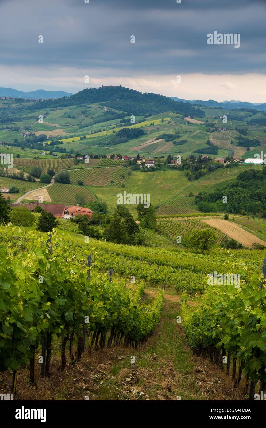 Broni italy hi-res stock photography and images - Alamy