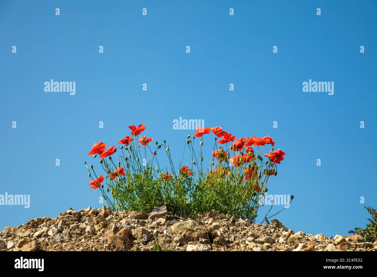 Rubble mound hi-res stock photography and images - Alamy