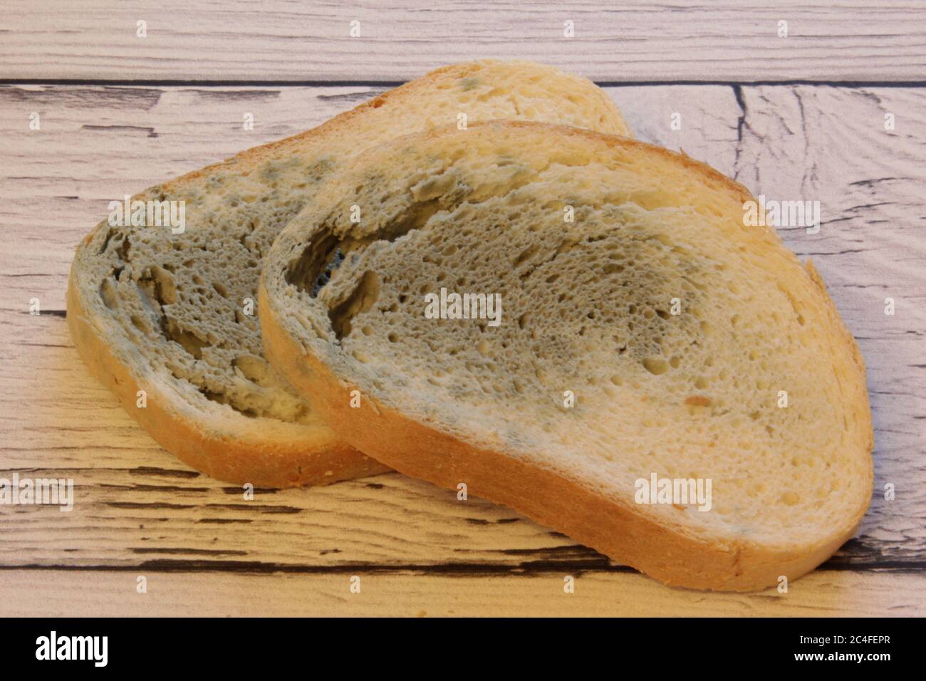 Mildew Wheat High Resolution Stock Photography and Images - Alamy