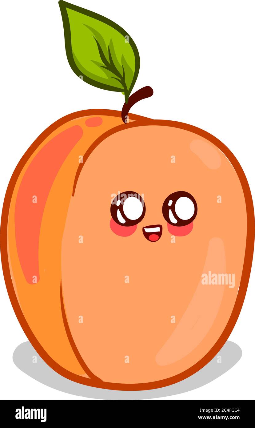 Cute apricot, illustration, vector on white background Stock Vector ...