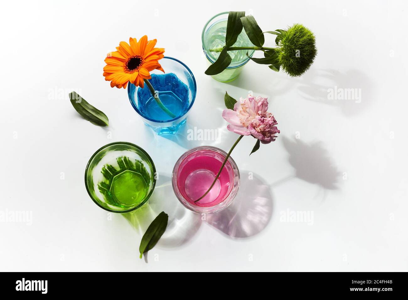 summer still life scene. Crystal glasses with long harsh shadows Stock ...