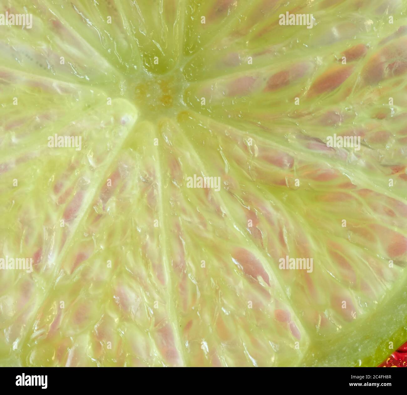 Very close up lemon slice showing texture and patterns Stock Photo - Alamy