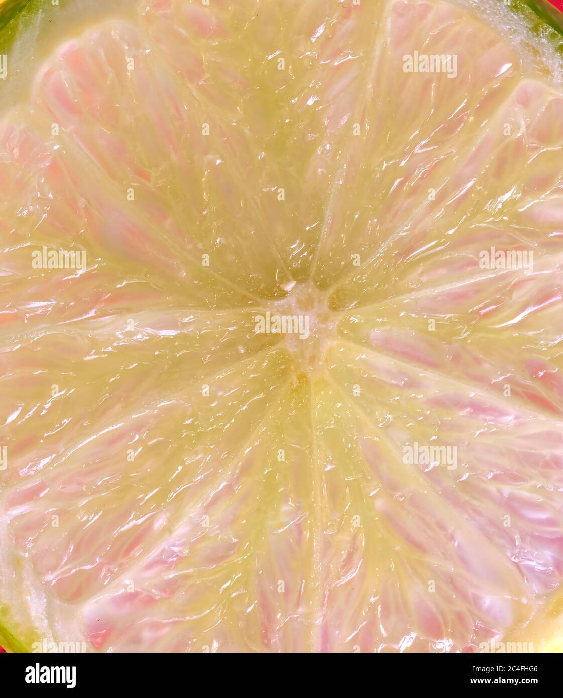Macro of Lime sliced through to show the natural architecture Stock ...
