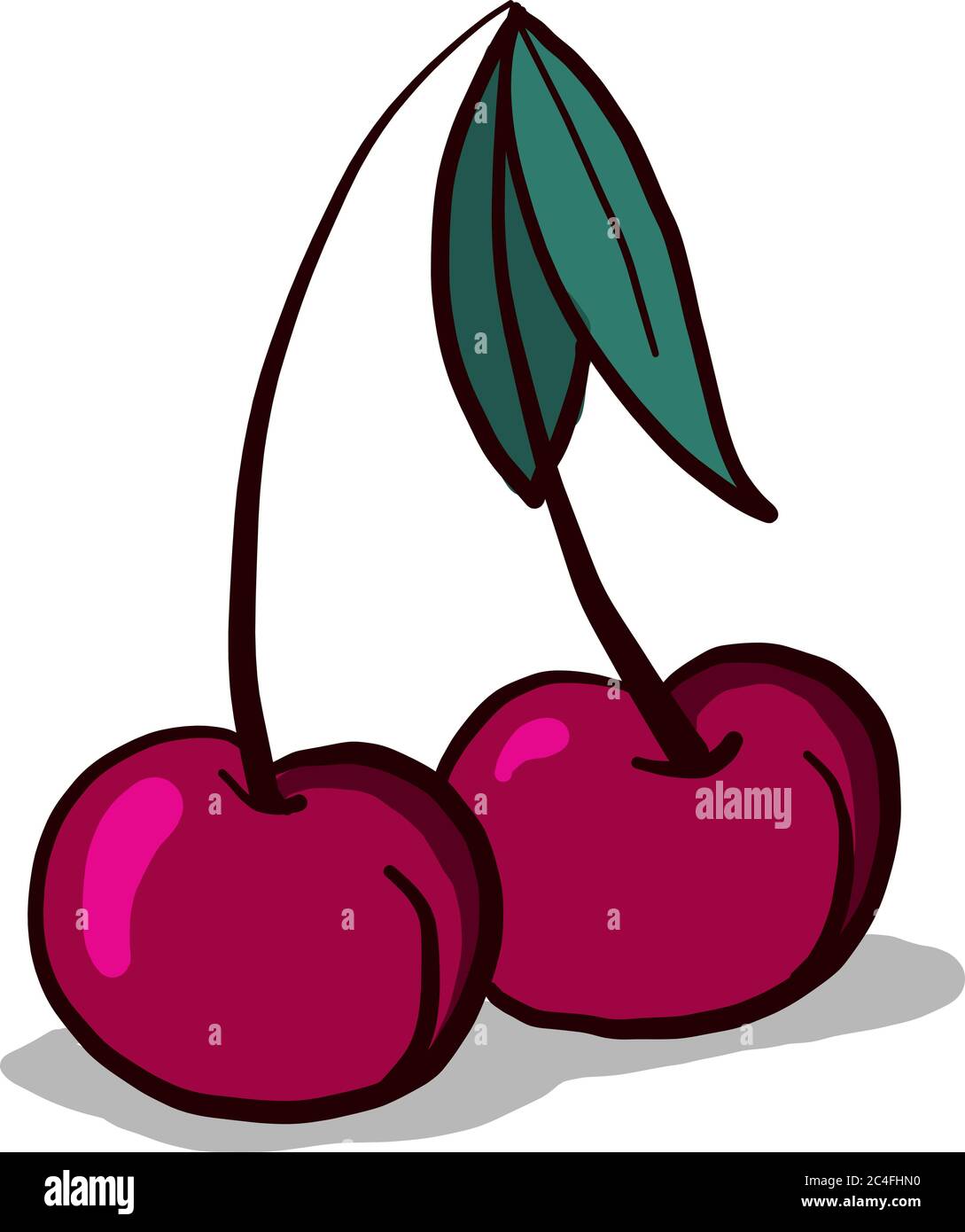 Dark red cherry, illustration, vector on white background Stock Vector ...