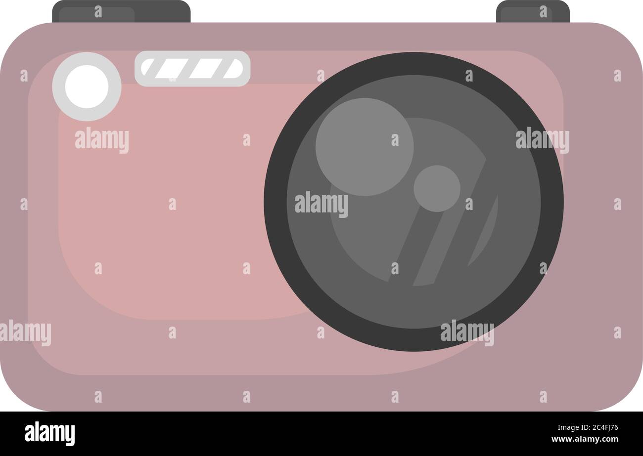 Pink camera, illustration, vector on white background Stock Vector ...