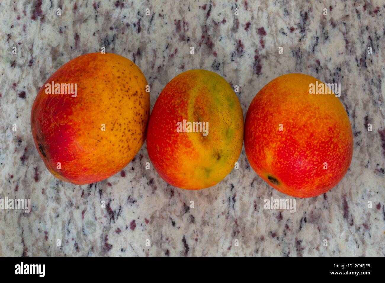 top view of three colorful mangoes on a light colored background Stock ...