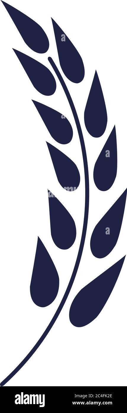 wheat spike elegant decoration icon vector illustration design Stock ...