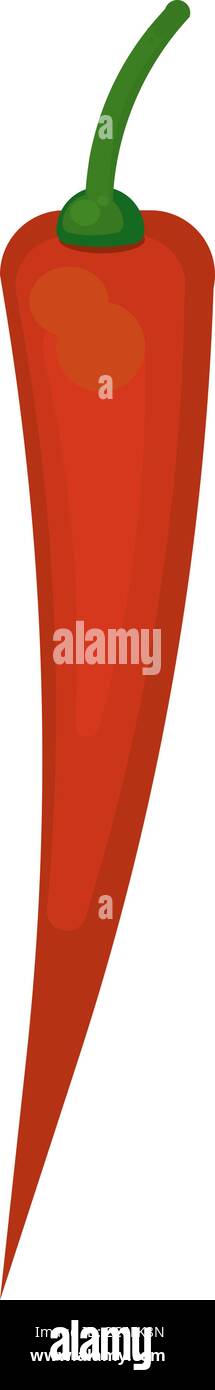 Red hot pepper, illustration, vector on white background Stock Vector ...