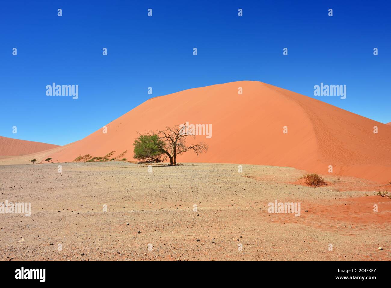 Best of namibia landscape hi-res stock photography and images - Alamy
