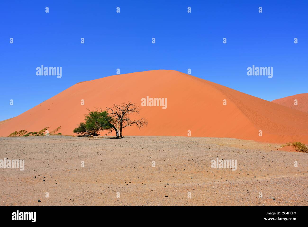 Best of namibia landscape hi-res stock photography and images - Alamy