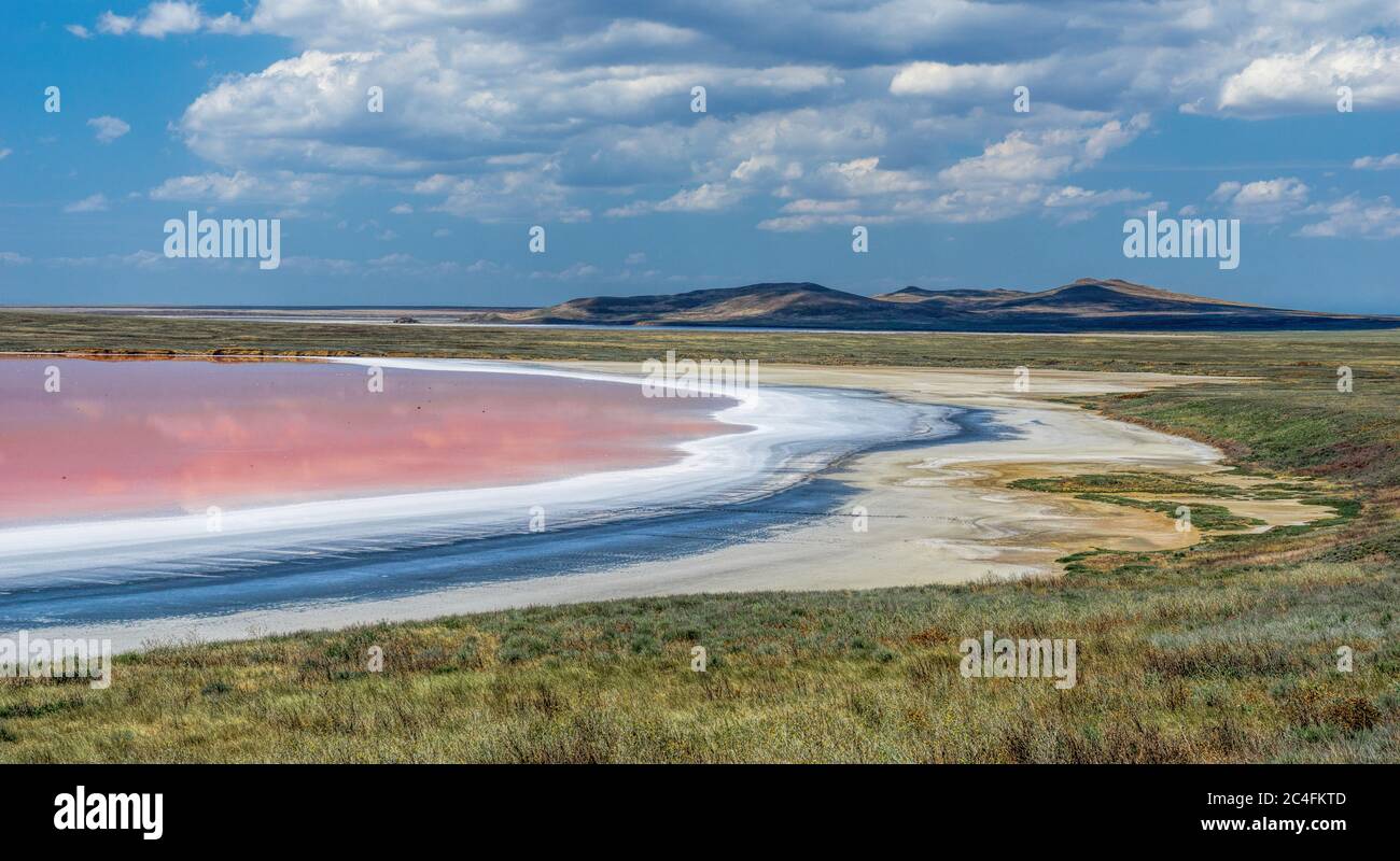 Brine and salt of a pink lake Koyash colored by microalgae Dunaliella ...