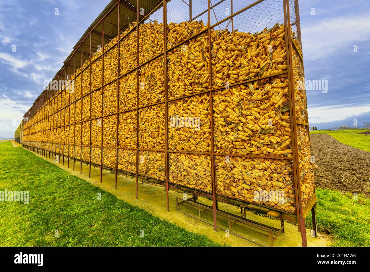 Best Food Storage For Corn at Cameron Kopsen blog