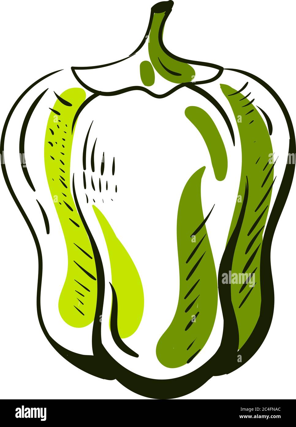 Drawing pepper, illustration, vector on white background Stock Vector ...