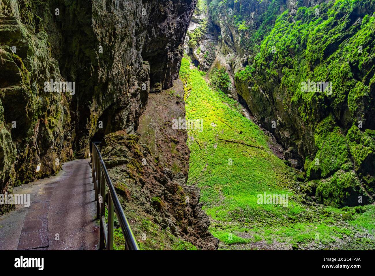 Great Morava River High Resolution Stock Photography and Images - Alamy