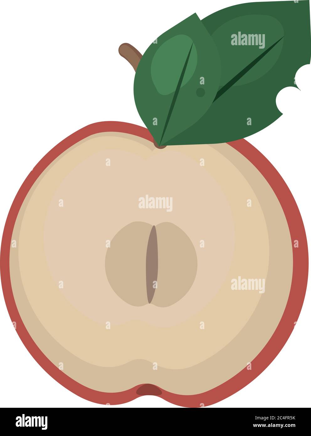 Half red apple, illustration, vector on white background Stock Vector ...
