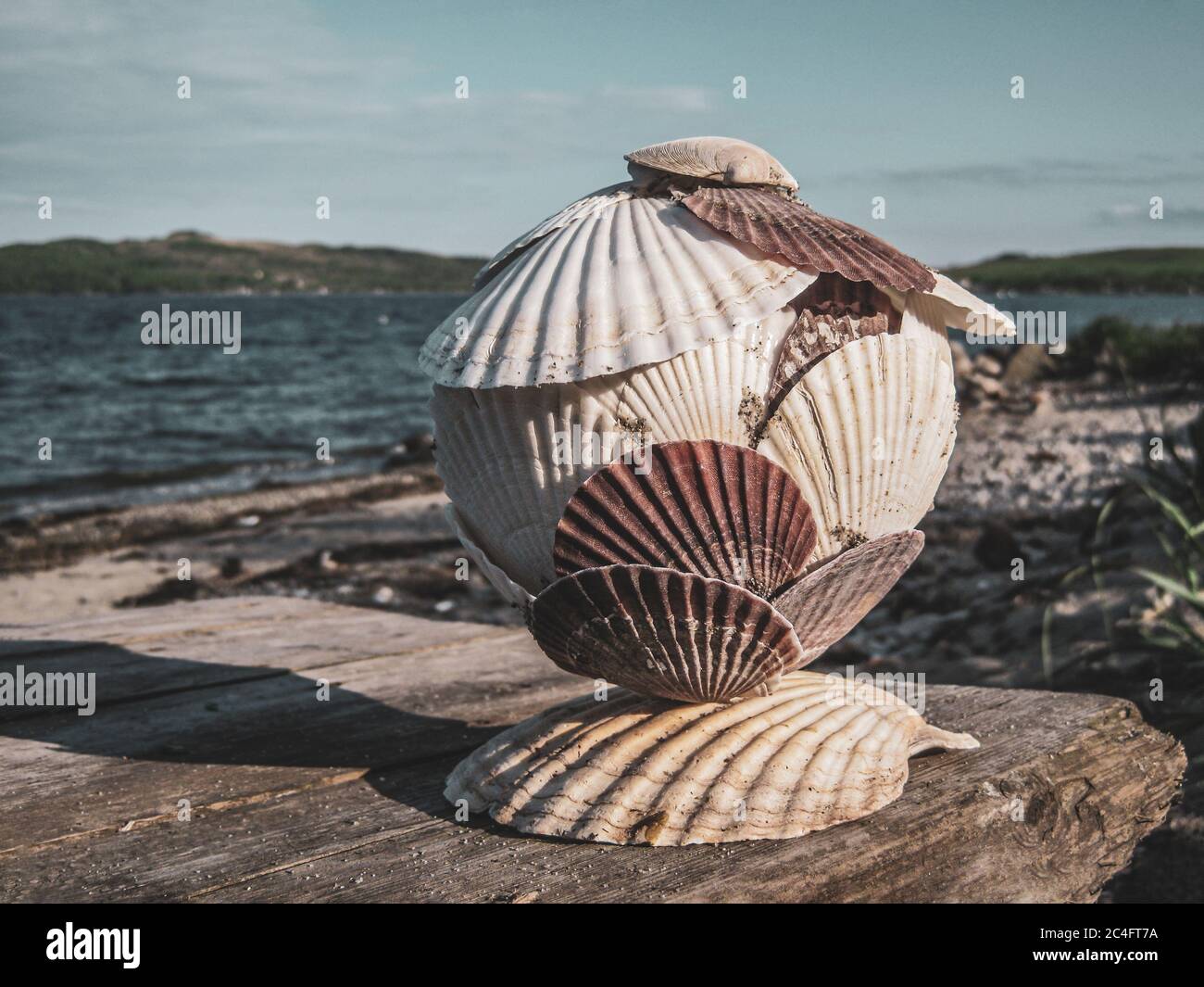 handmade casket made of Japanese scallop shells, needlework by the sea ...