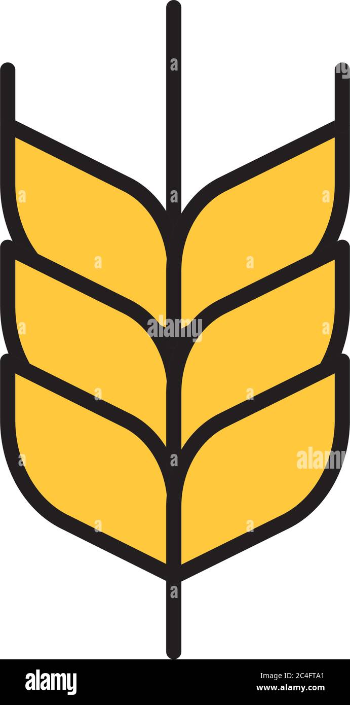 wheat spike fill style icon vector illustration design Stock Vector ...