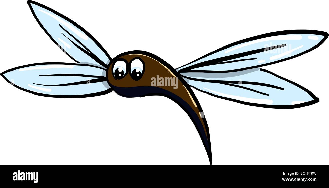 Dengue fever vector vectors Stock Vector Images - Alamy