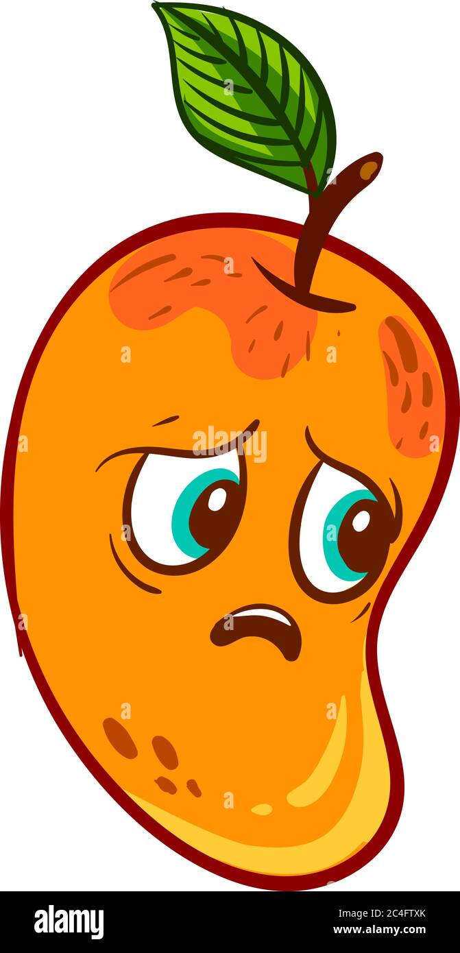 Sad mango, illustration, vector on white background Stock Vector Image ...