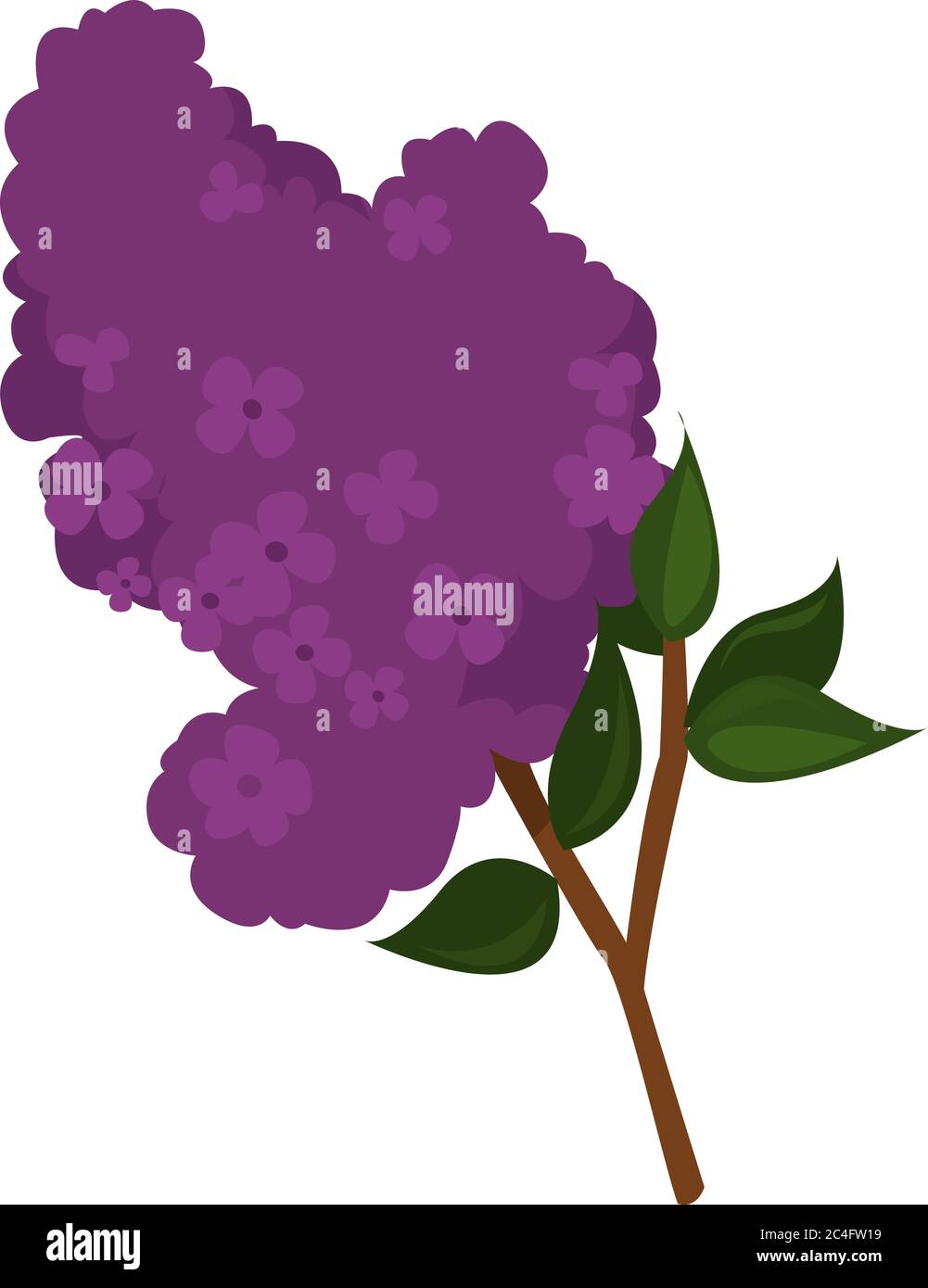 Purple lilac, illustration, vector on white background Stock Vector ...