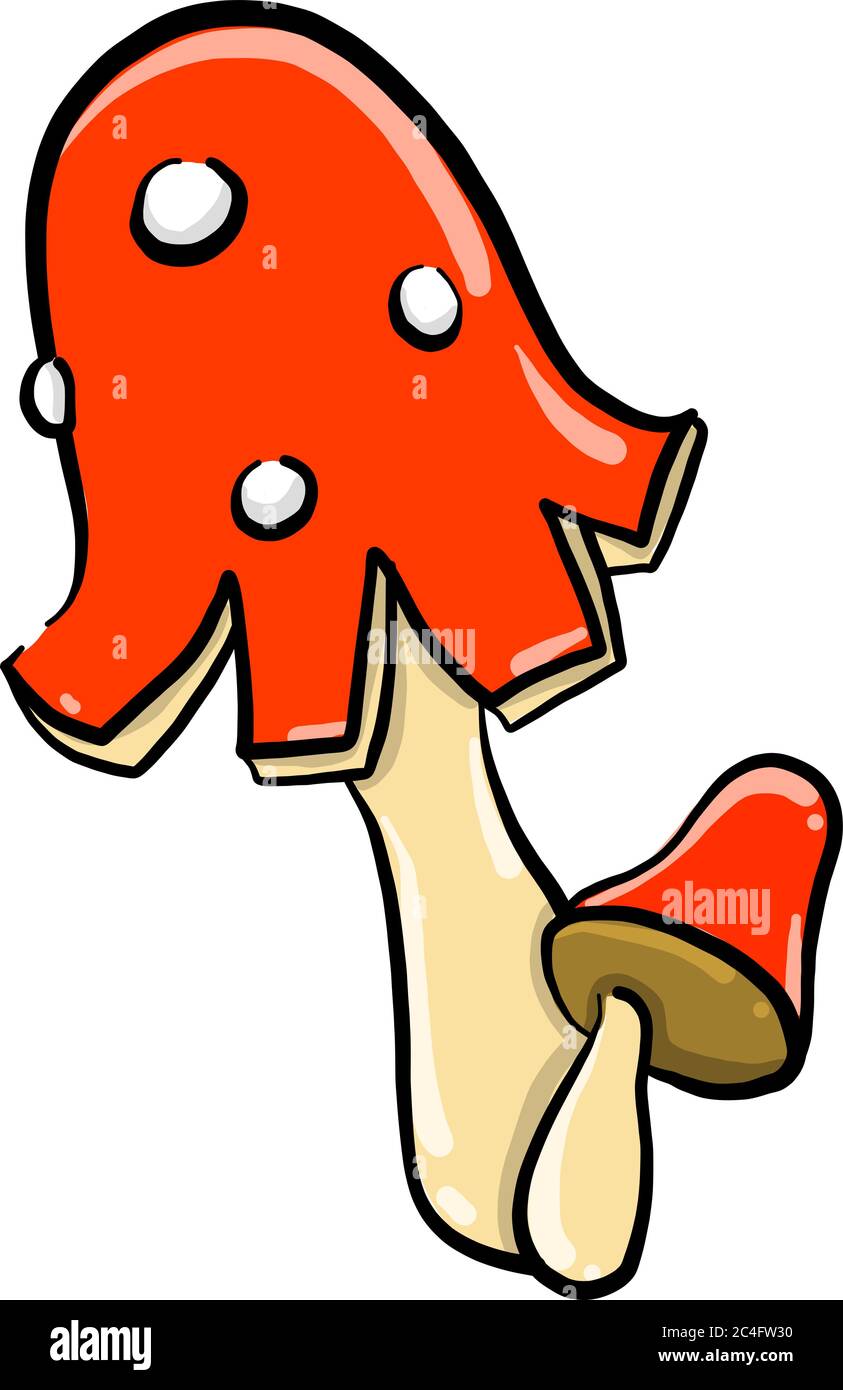 Red mushroom, illustration, vector on white background Stock Vector ...