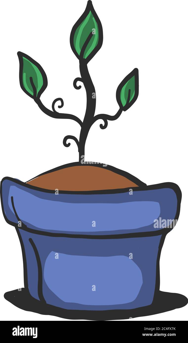 Plant in blue pot, illustration, vector on white background Stock ...