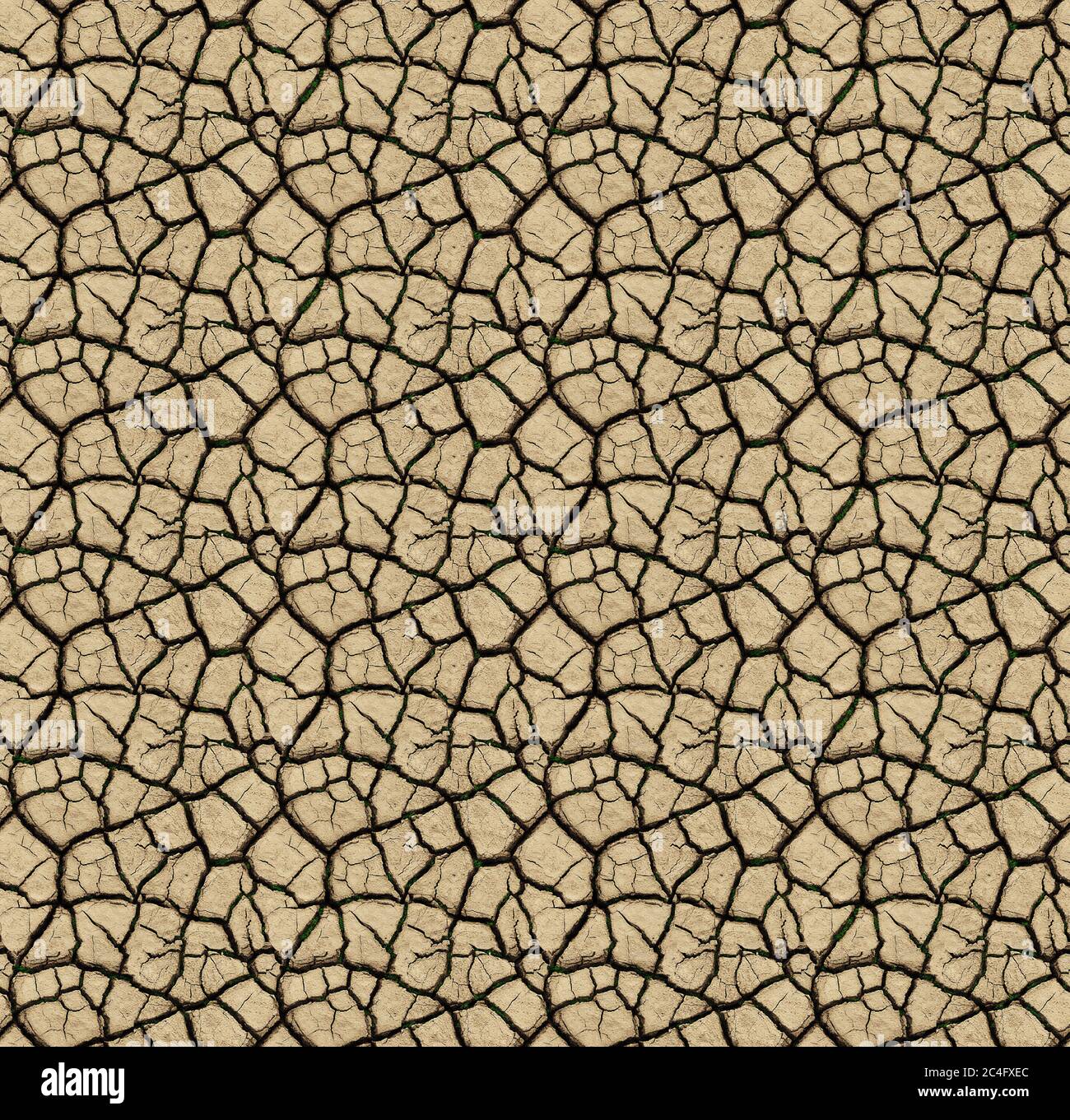 Seamless texture of a dry, arid land with patches of grass coming ...