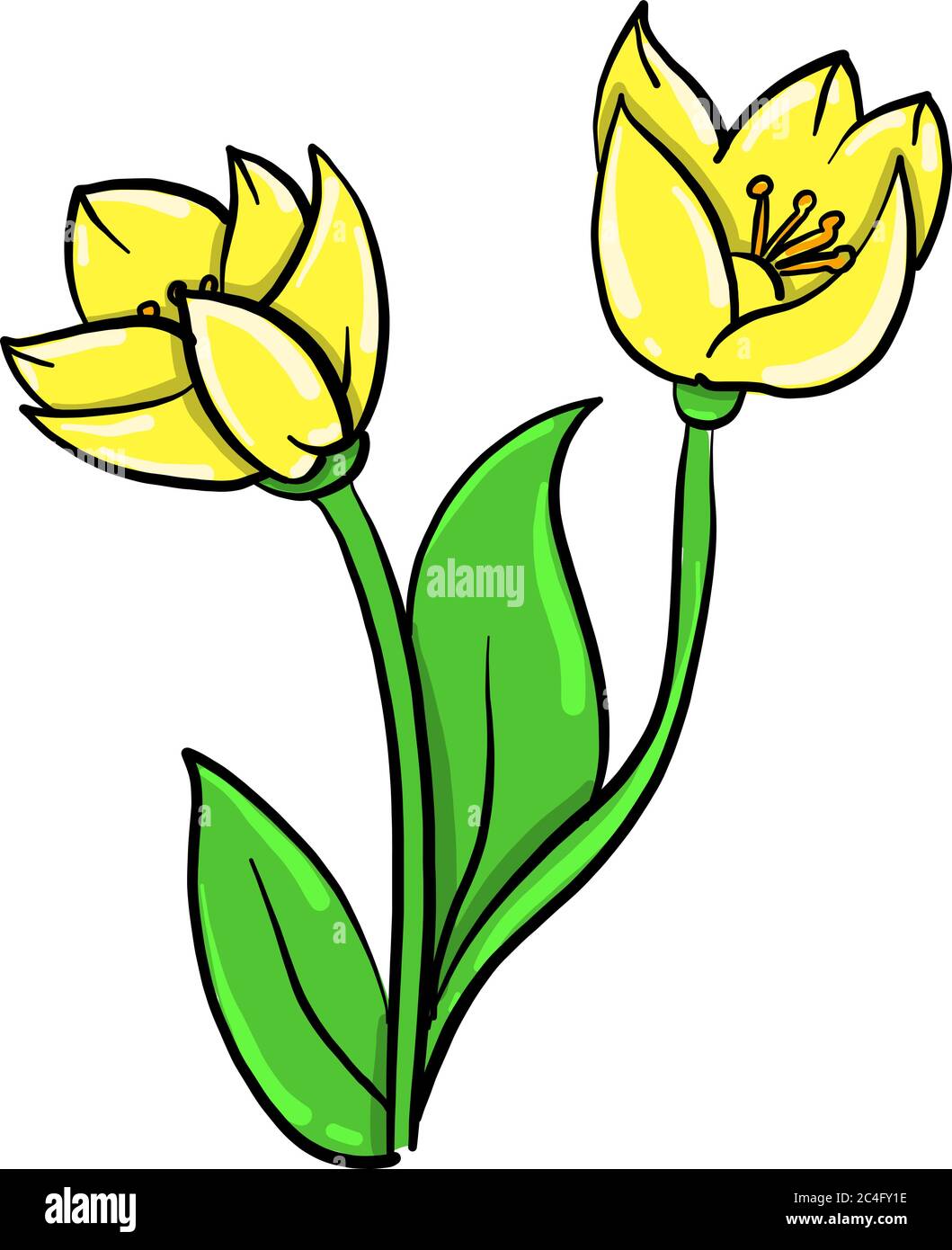 Poppy illustration Stock Vector Images - Alamy