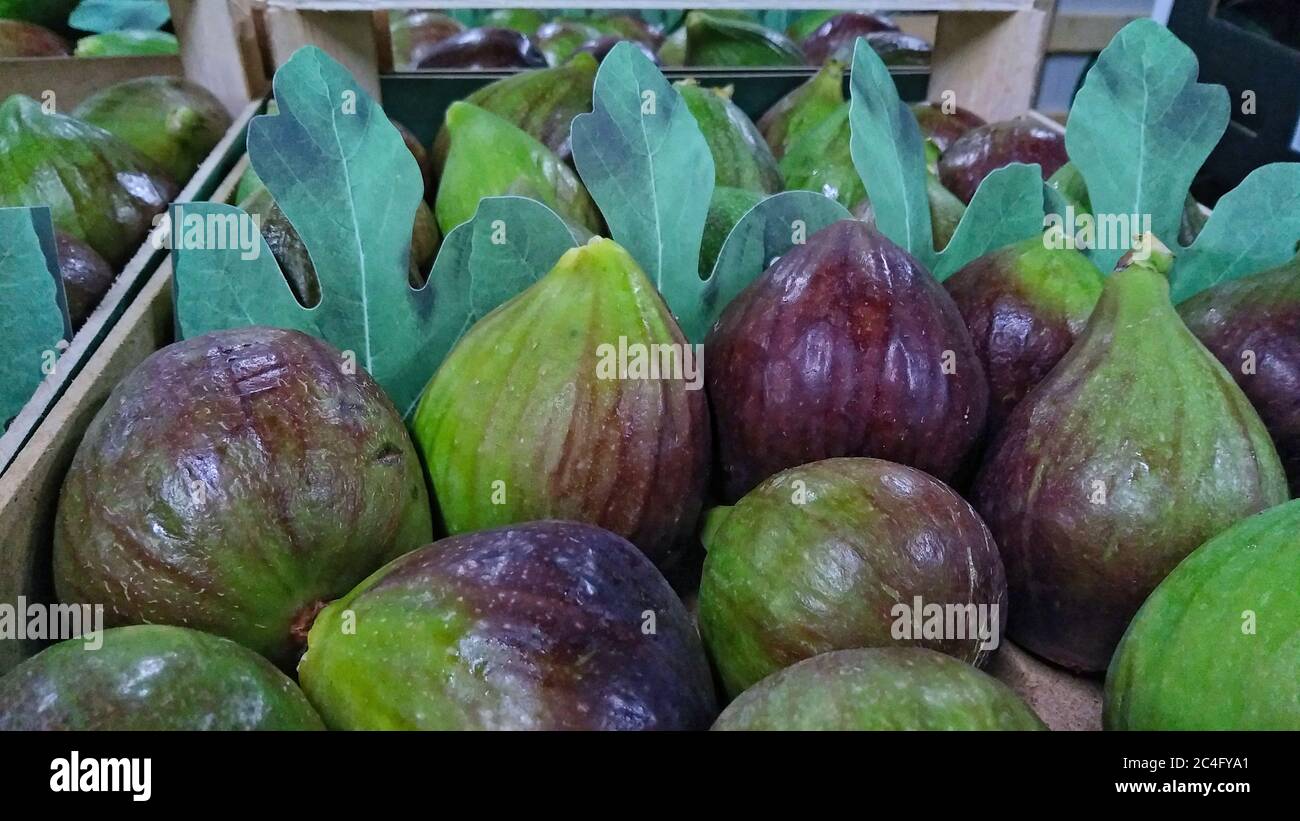 fresh fruit taken up close Stock Photo - Alamy