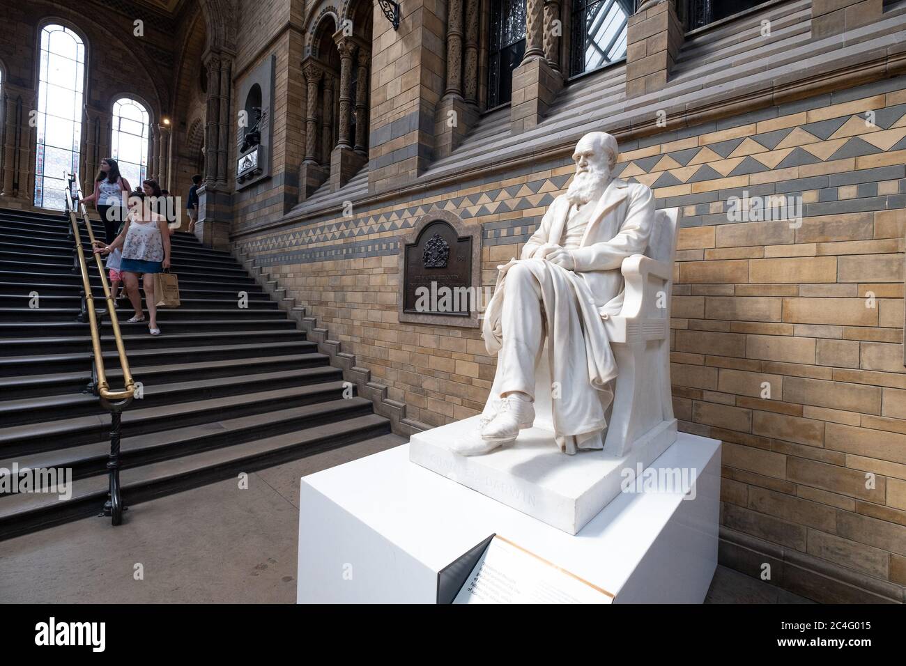 Statue of Charles Darwin at the Natural History Museum in London Stock ...