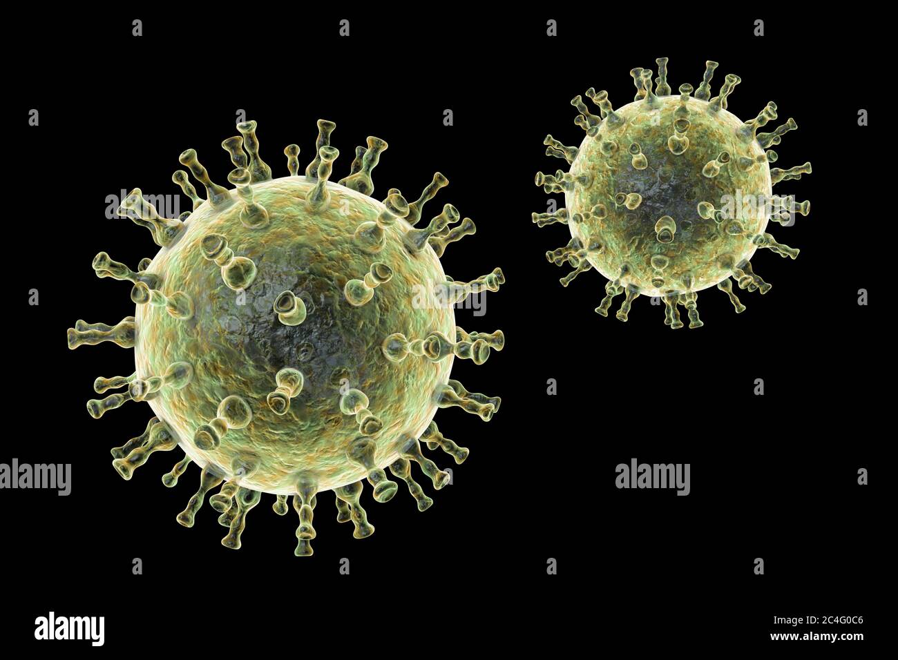 Computer illustration of a varicella zoster virus particle, the cause ...