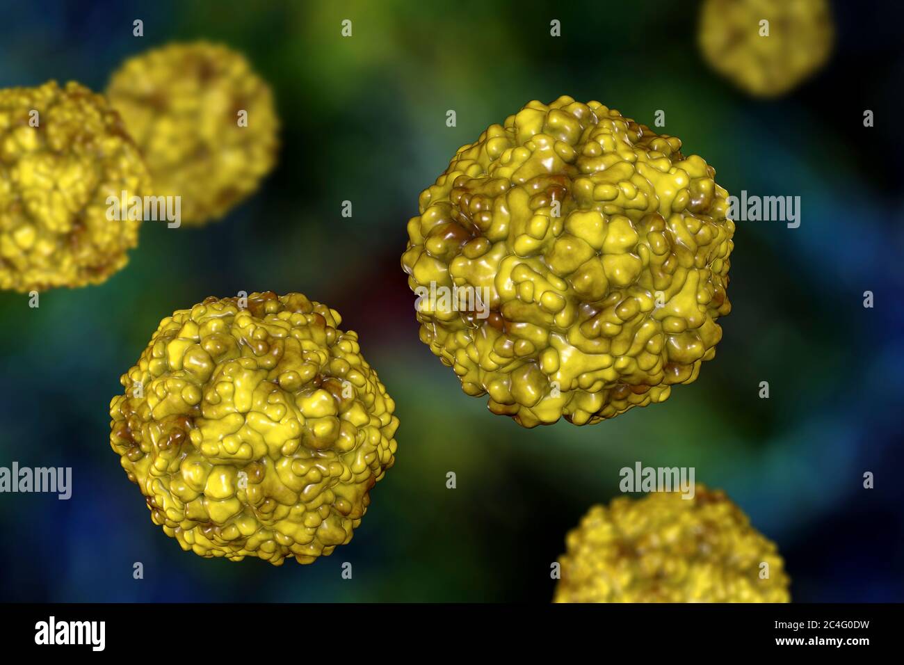 Enterovirus d70 hi-res stock photography and images - Alamy