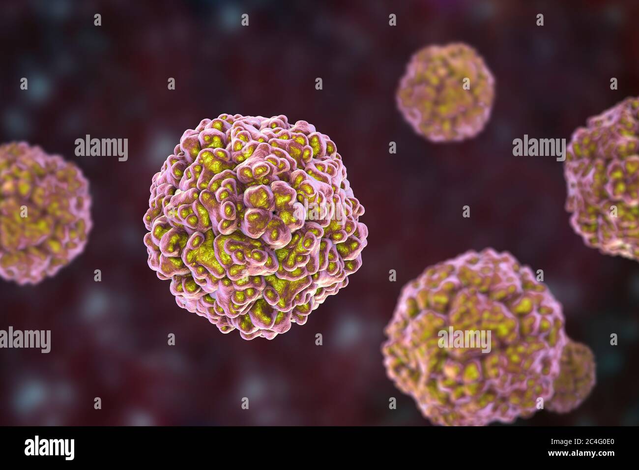 Echovirus particle hi-res stock photography and images - Alamy