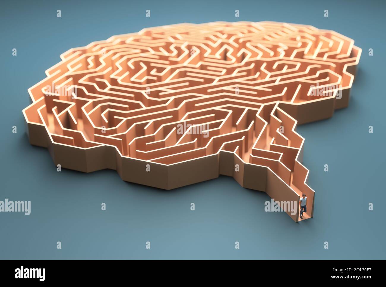 Human brain, conceptual illustration Stock Photo - Alamy