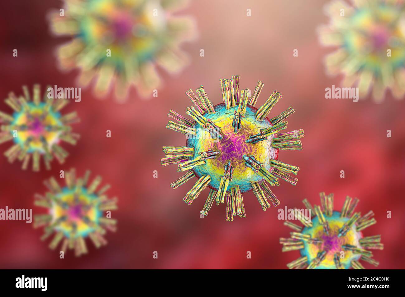 Herpes simplex viruses, computer illustration Stock Photo - Alamy