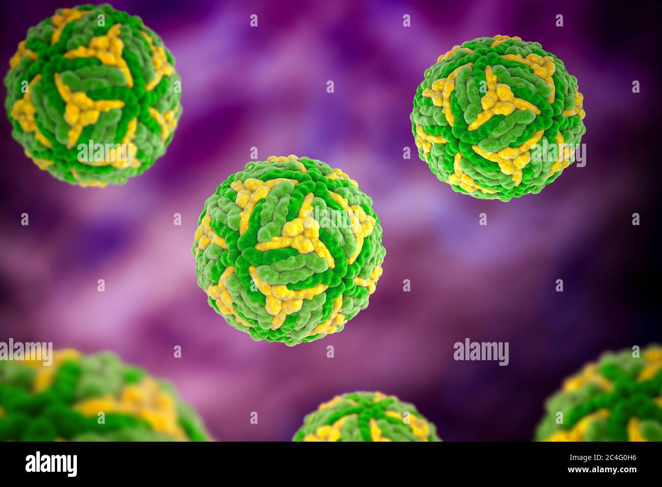 Japanese encephalitis virus (JEV), computer illustration. JEV is an RNA ...