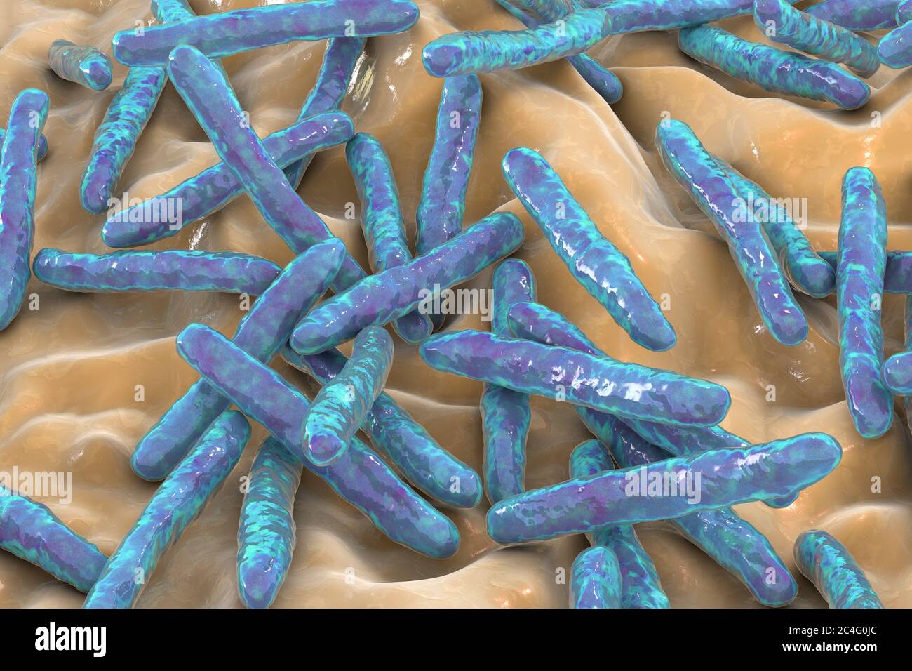 Tuberculosis bacteria. Computer illustration of Mycobacterium ...