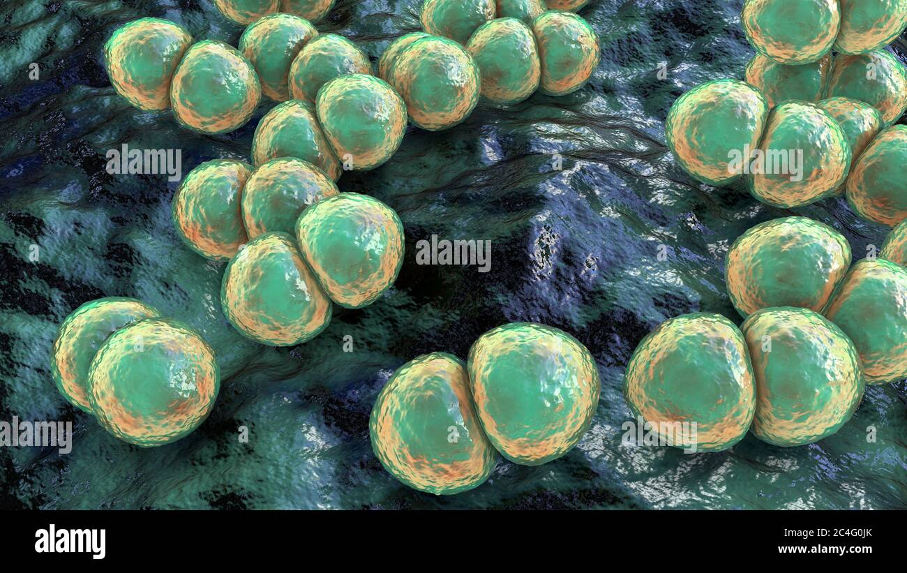 Cellulitis Bacteria High Resolution Stock Photography and Images - Alamy