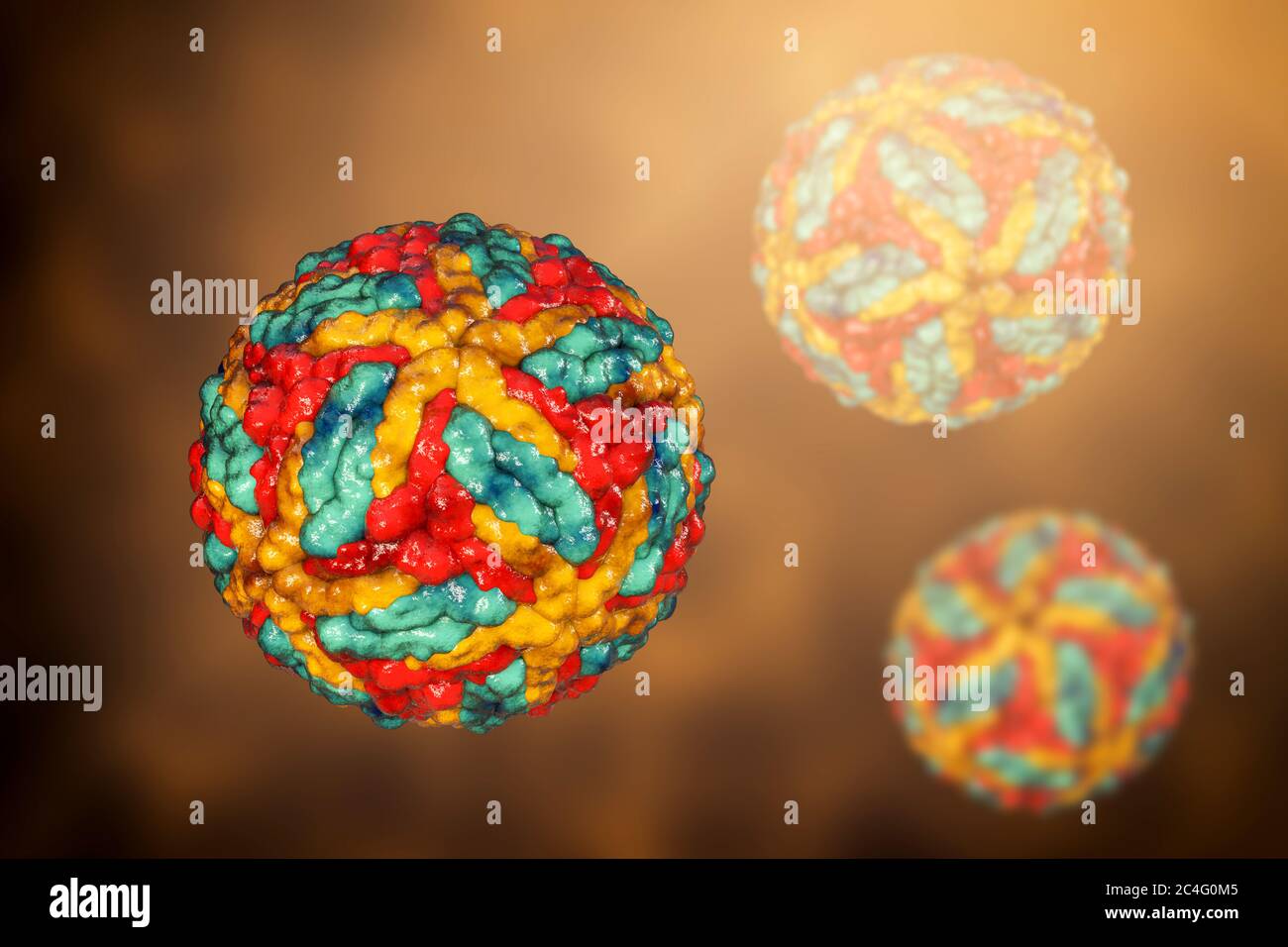 St. Louis encephalitis virus particles, computer illustration. Saint ...