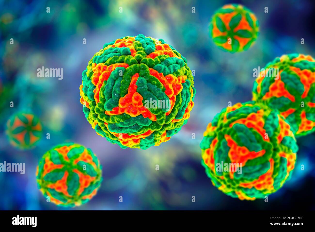 Saint louis encephalitis hi-res stock photography and images - Alamy