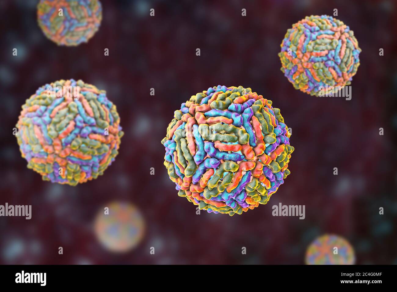 West Nile virus particle, computer illustration. West Nile virus (WNV ...