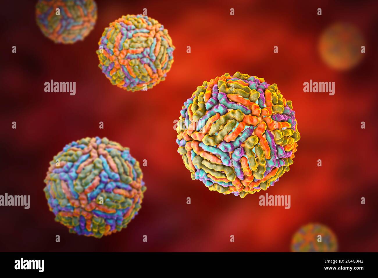 West Nile virus particle, computer illustration. West Nile virus (WNV ...