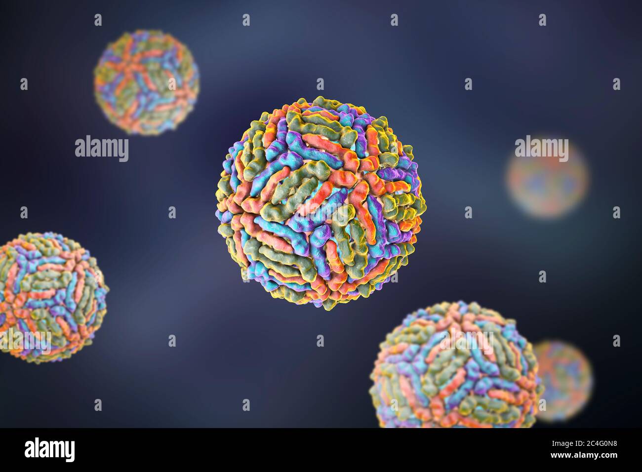 West Nile virus particle, computer illustration. West Nile virus (WNV ...