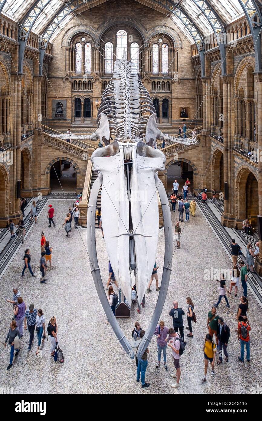 National museum of nature and science hi-res stock photography and ...